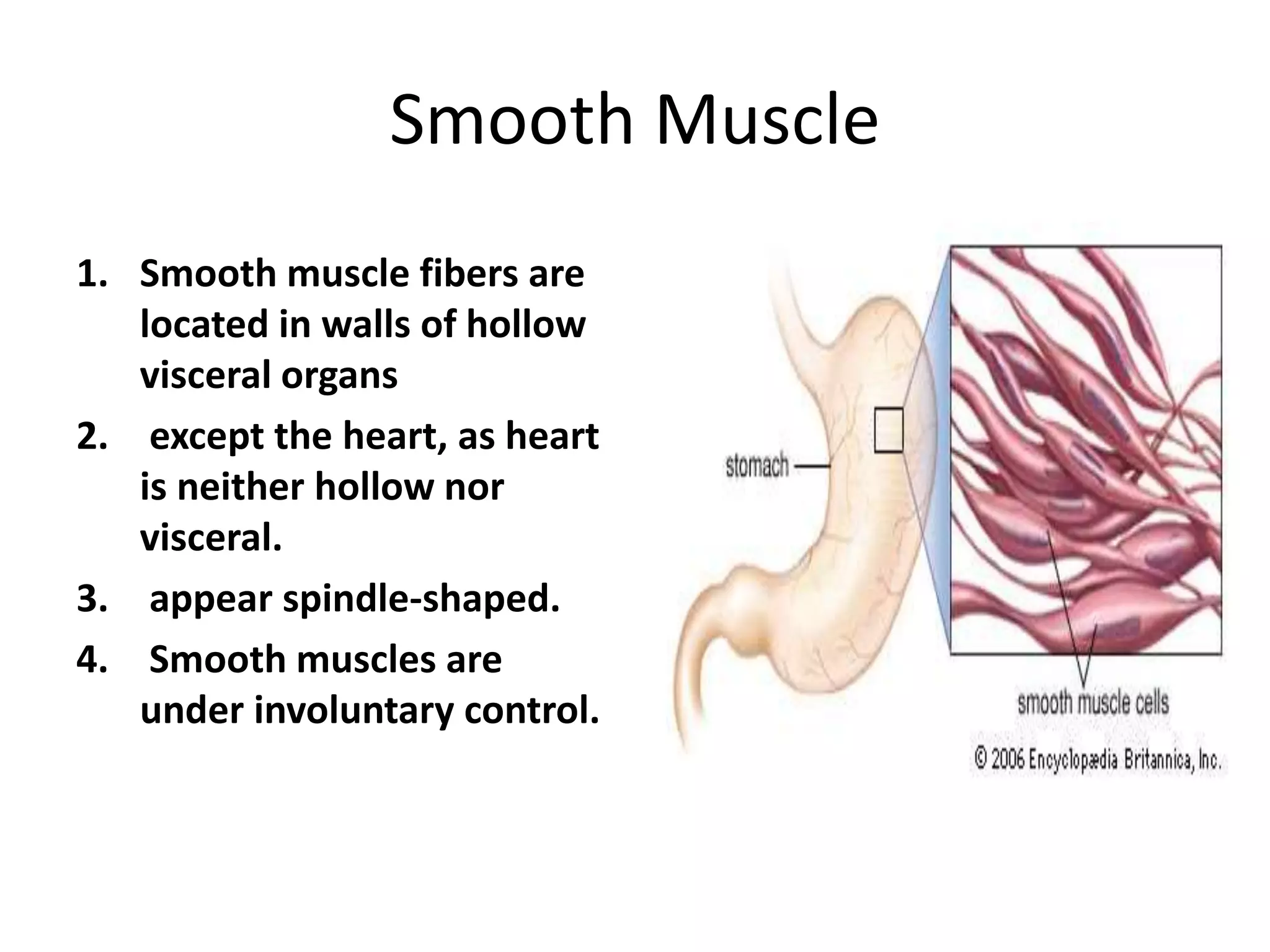 Human biology | PPTX