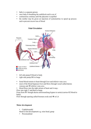 Human biology3a3b reproduction | PDF