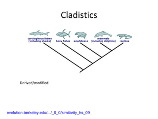 Human Biology Lecture On Taxonomy Homologies Evolutionary Systemics ...