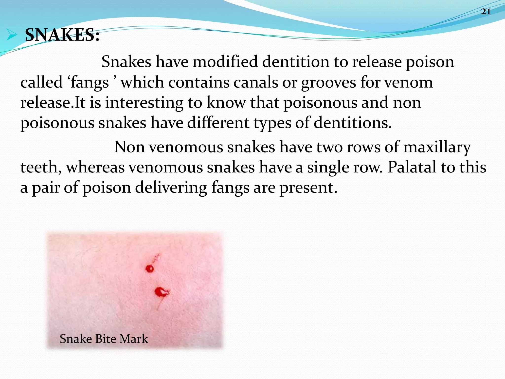 Human bite marks | PPTX