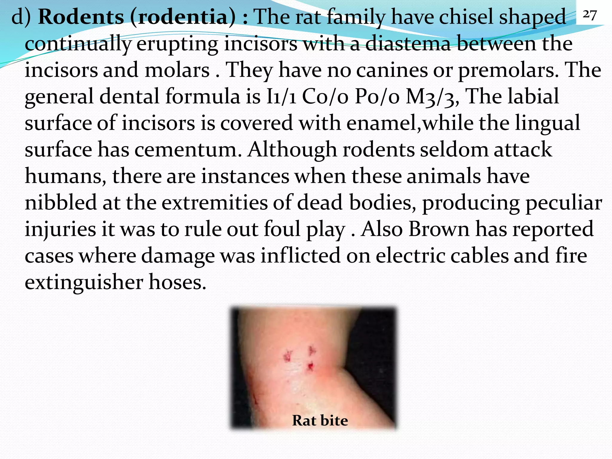 Human bite marks | PPTX
