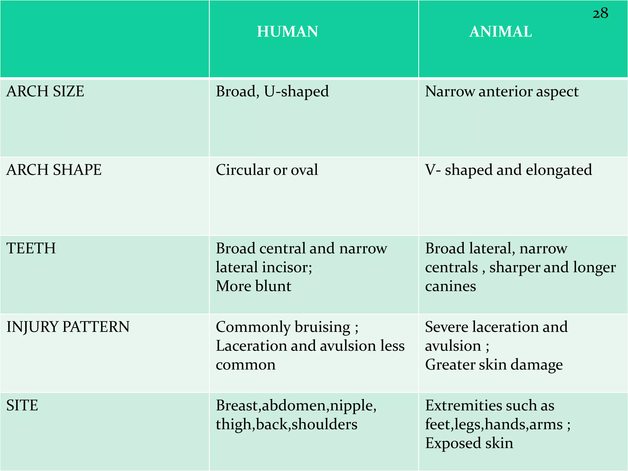 Human bite marks | PPTX