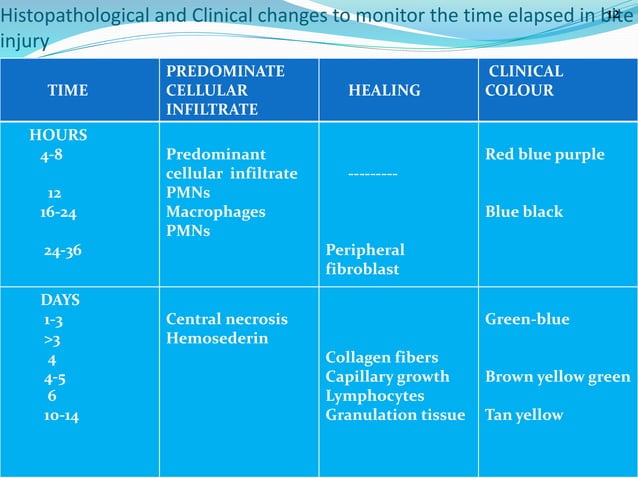 Human bite marks | PPTX | Oral care | Personal Care