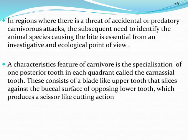 Human bite marks | PPTX | Oral care | Personal Care