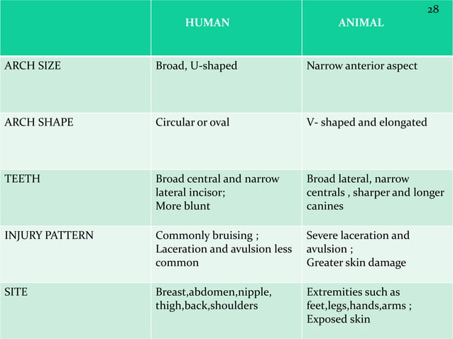 Human bite marks | PPTX | Oral care | Personal Care