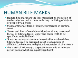 Human bite marks | PPTX