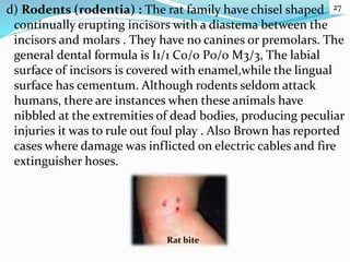 Human bite marks | PPT