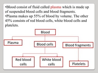 Human blood 1.2 | PPTX