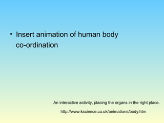 Human body | PPT