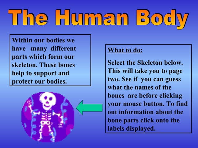 Human Body | PPT