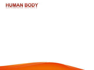 Human body | PPT