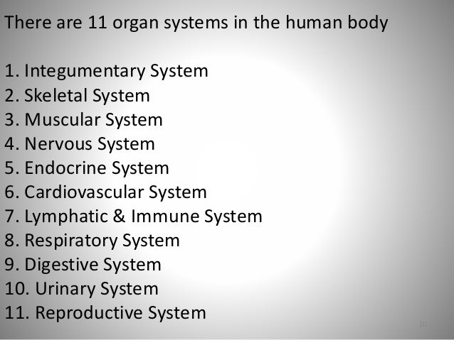 11 Body Systems Diagram