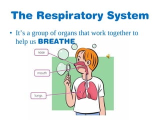 Human body | PPT | Lung and Respiratory Health | Diseases and Conditions