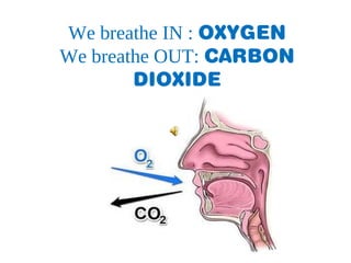 Human body | PPT | Lung and Respiratory Health | Diseases and Conditions