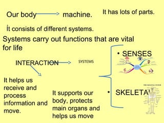 Human body: body systems | PPT