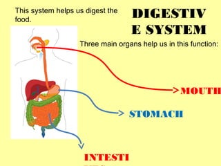 Human body: body systems | PPT