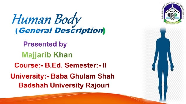 Human body (General Description) | PPT