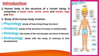 Human body (General Description) | PPTX