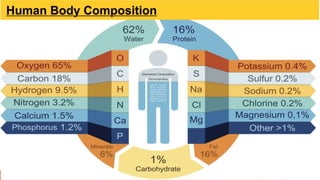 Human body (General Description) | PPTX | Lung and Respiratory Health ...