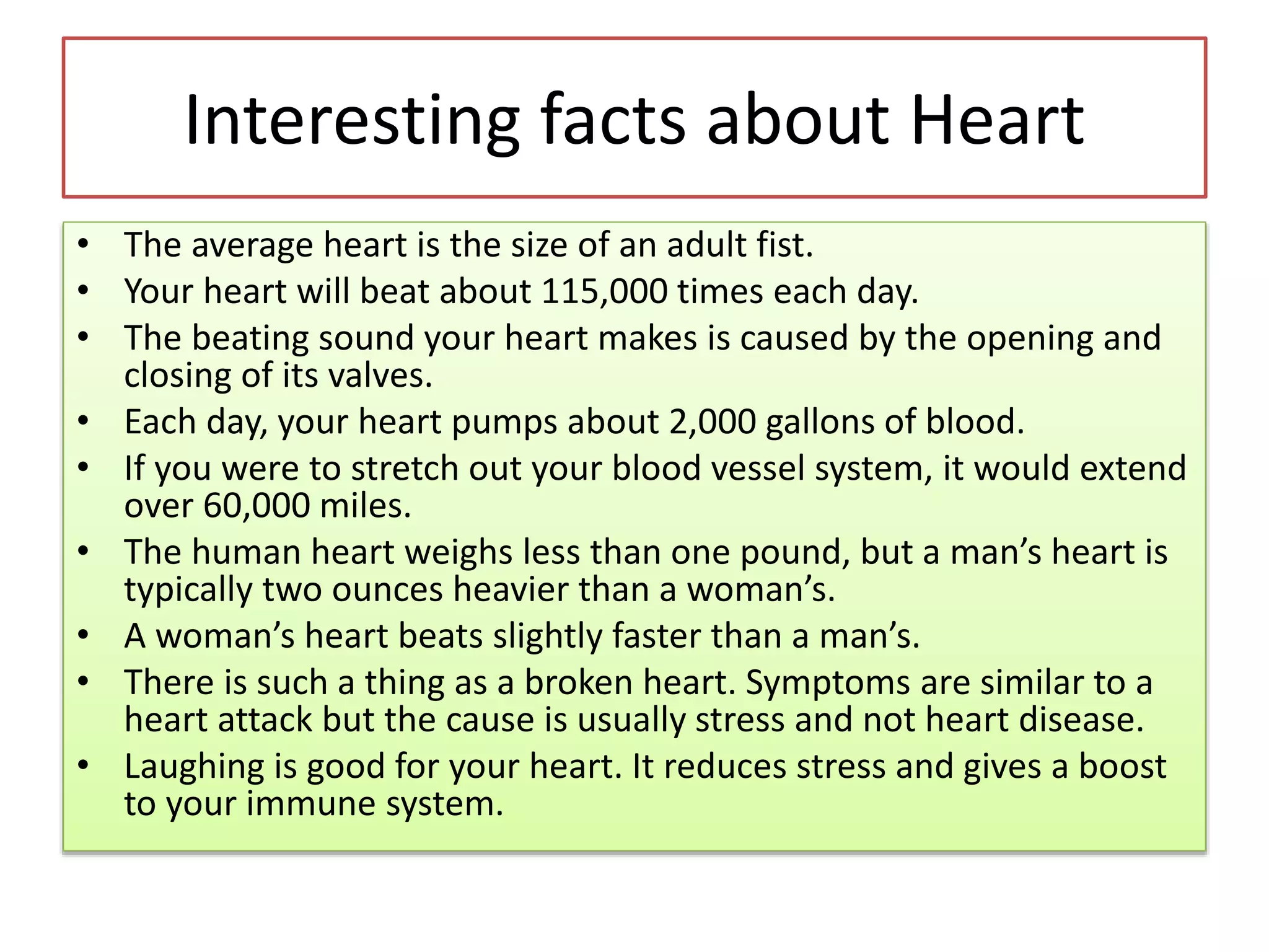 Human body structure / Human Anatomy and Physiology | PPTX