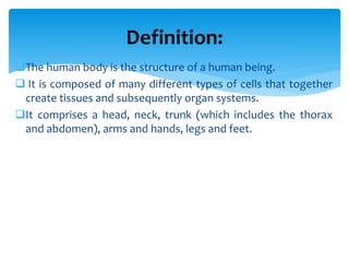 Human body | PPT