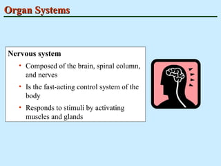 Human physiology and organ system funtions | PPT