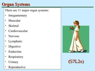 Human physiology and organ system funtions | PPT