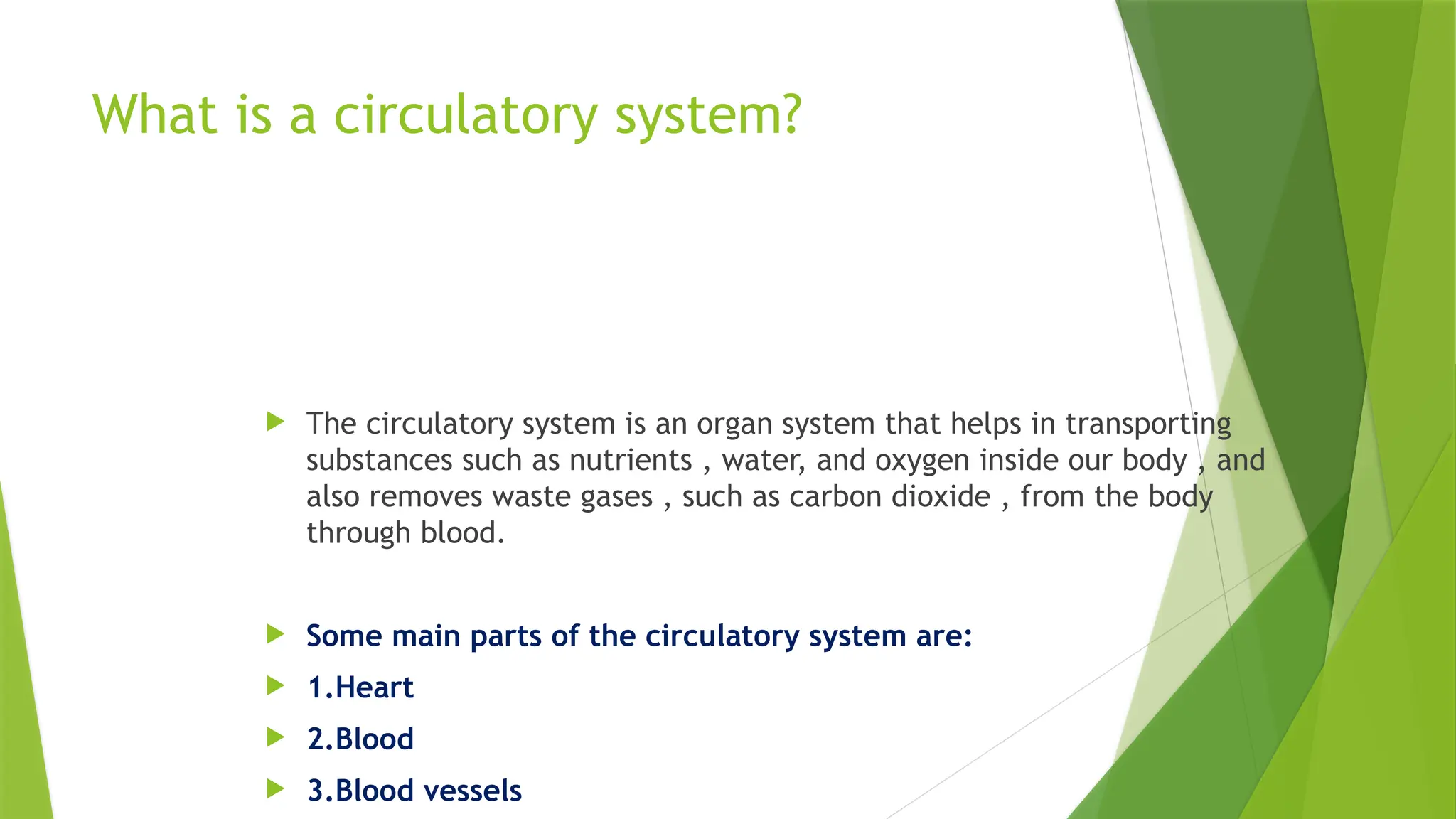 Human body-The circulatory system-School.pptx