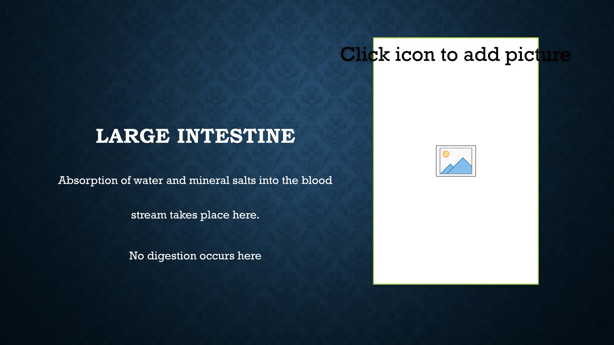 HUMAN BODY: PARTS OF DIGETIVE SYSTEM AND THEIR FUNCTIONS | PPTX