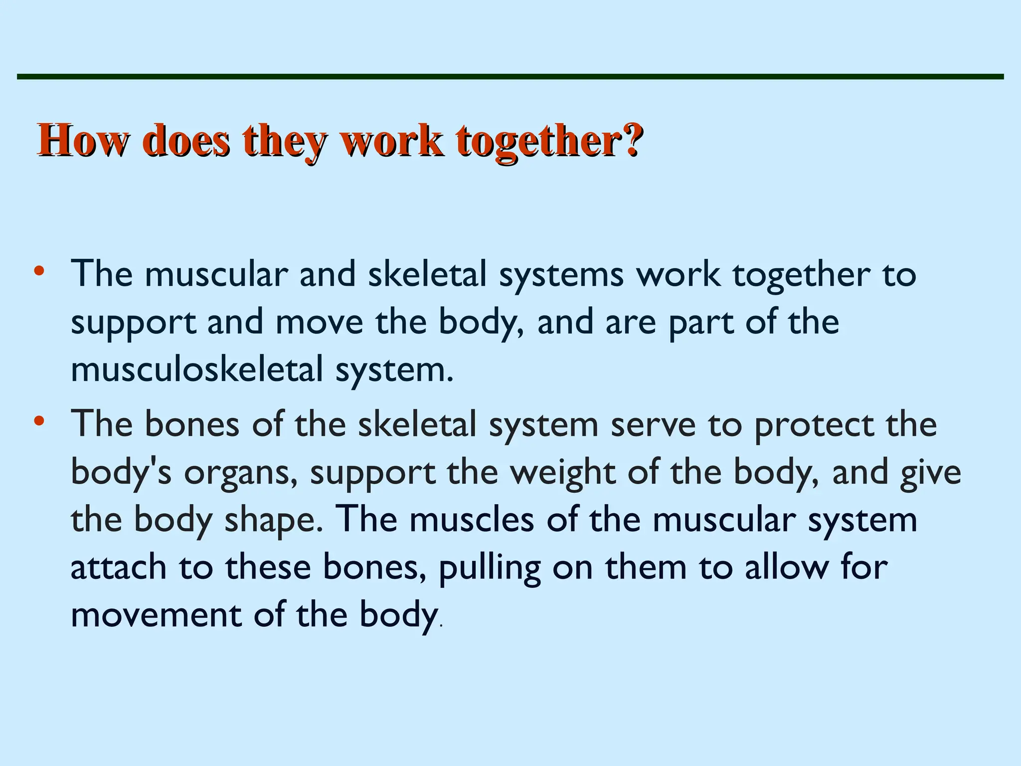 Human body and its functionality final.ppt