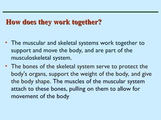 Human body and its functionality final.ppt