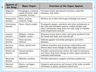 Human body and its functionality final.ppt