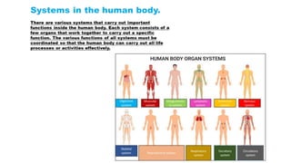 Human body 2.pptx