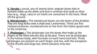 Human Body Anatomy and Phhhhhhhhhysiology.pptx
