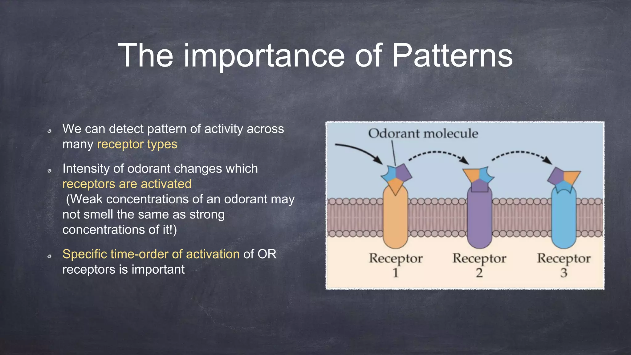 human body and health.pptx
