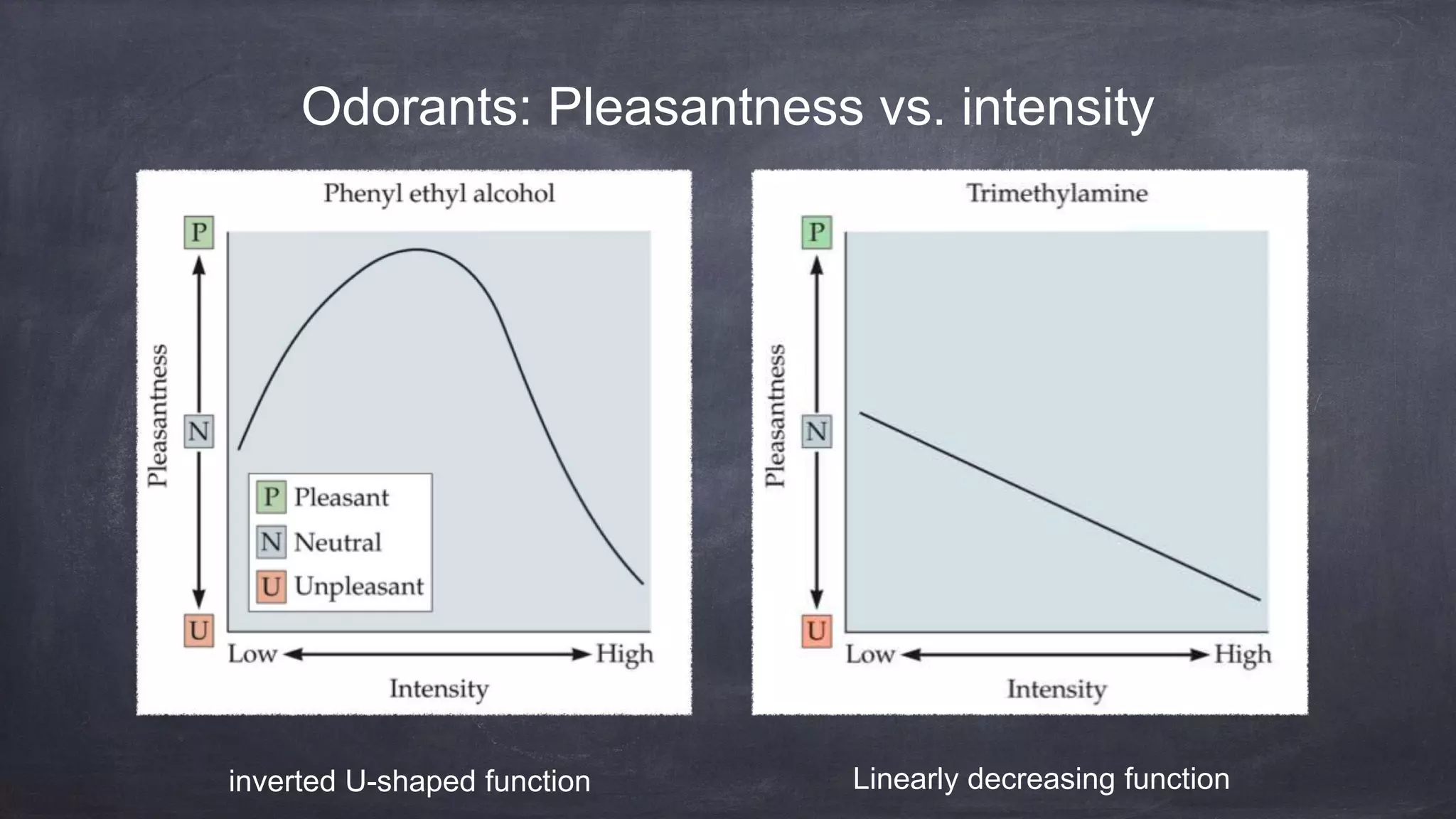 human body and health.pptx