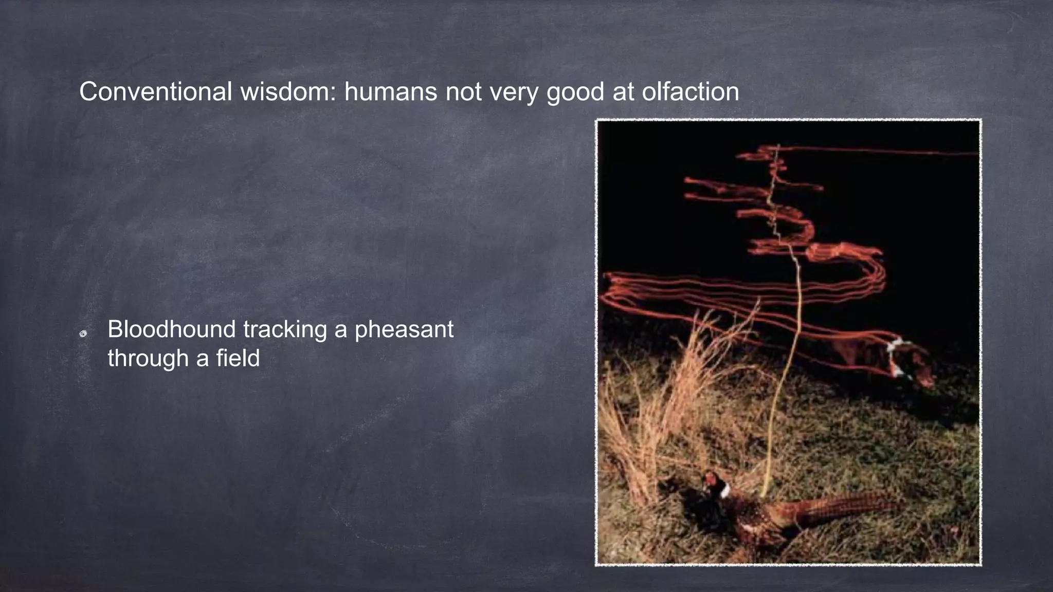 human body and health.pptx