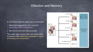 human body and health.pptx