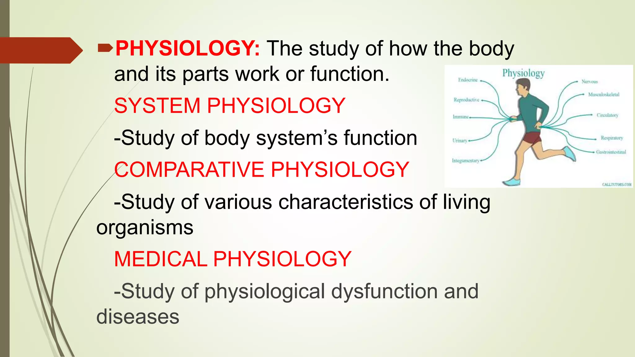 HUMAN BODY AN OVERVIEW 1.pptx