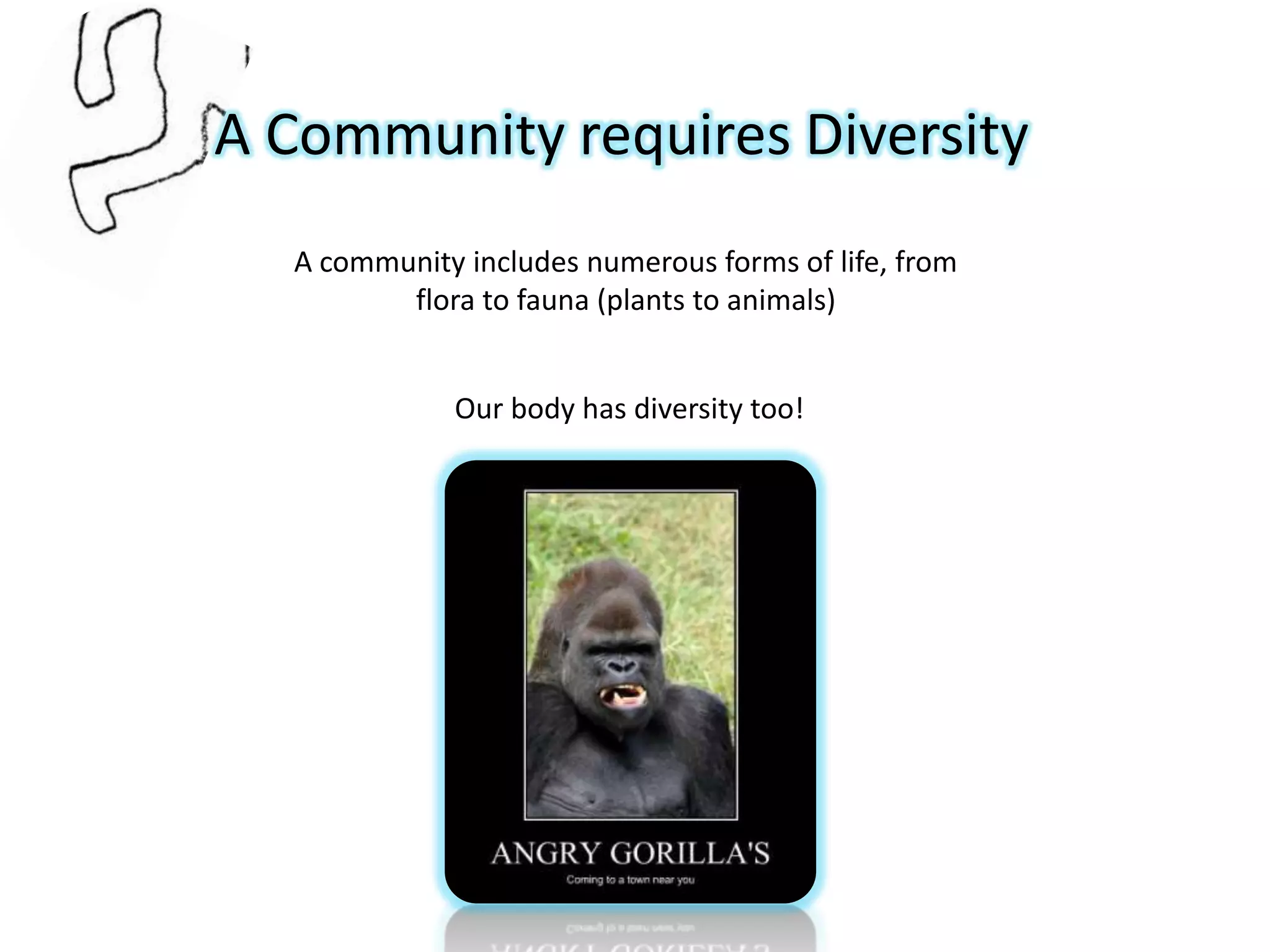 Human body as microcosm philip jarret | PPTX