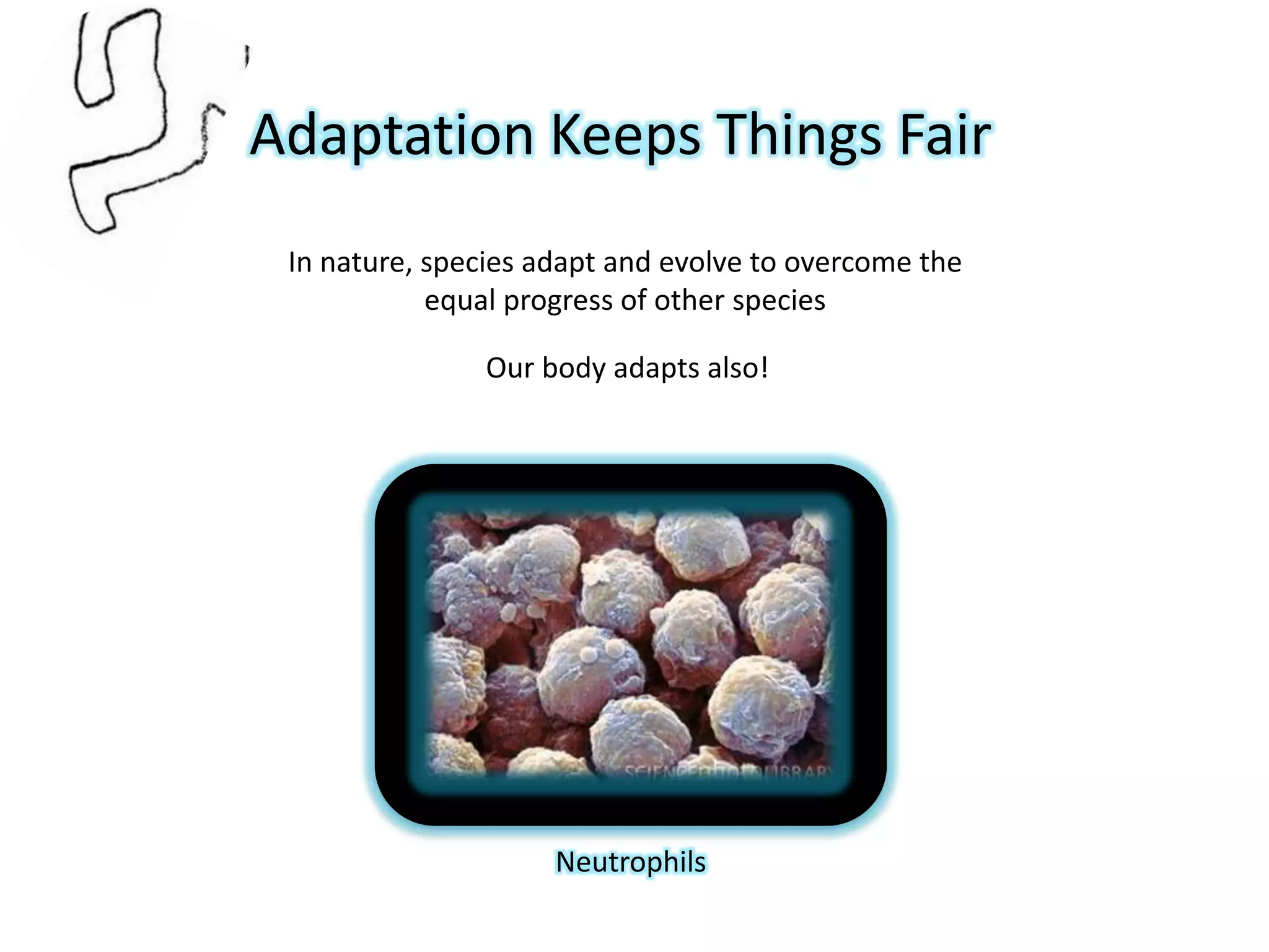 Human body as microcosm philip jarret | PPTX