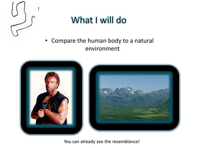 Human body as microcosm philip jarret | PPTX