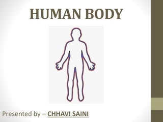 Human Body by Chhavi Saini | PPTX