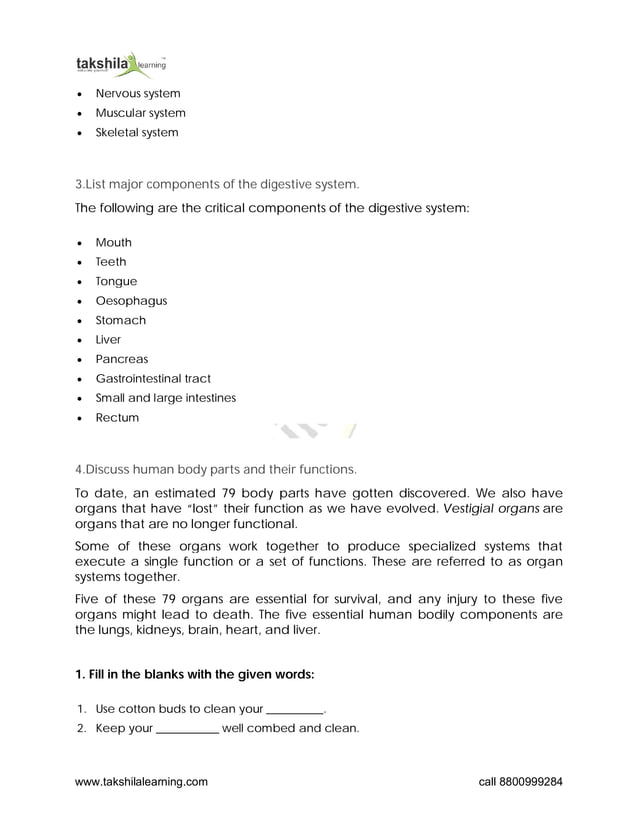 Human Body Class 2 EVS Worksheet.pdf