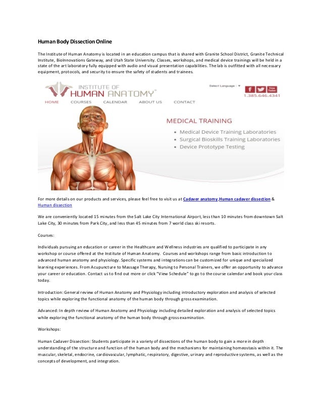 Human body dissection online