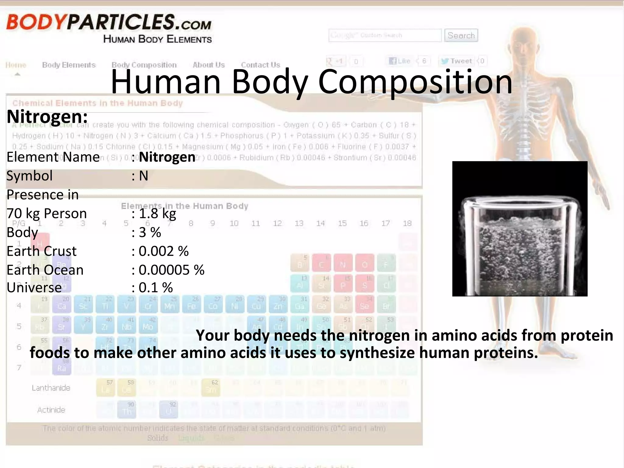 Human Body Elements | PPT
