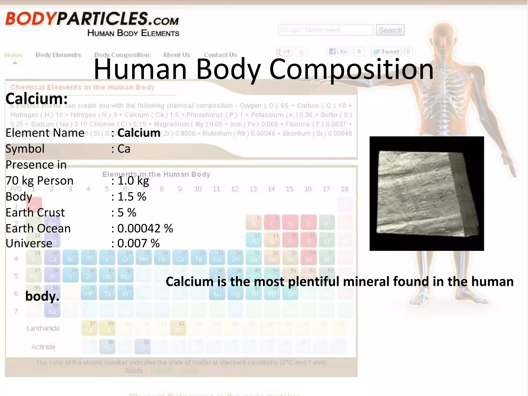 Human Body Elements | PPT