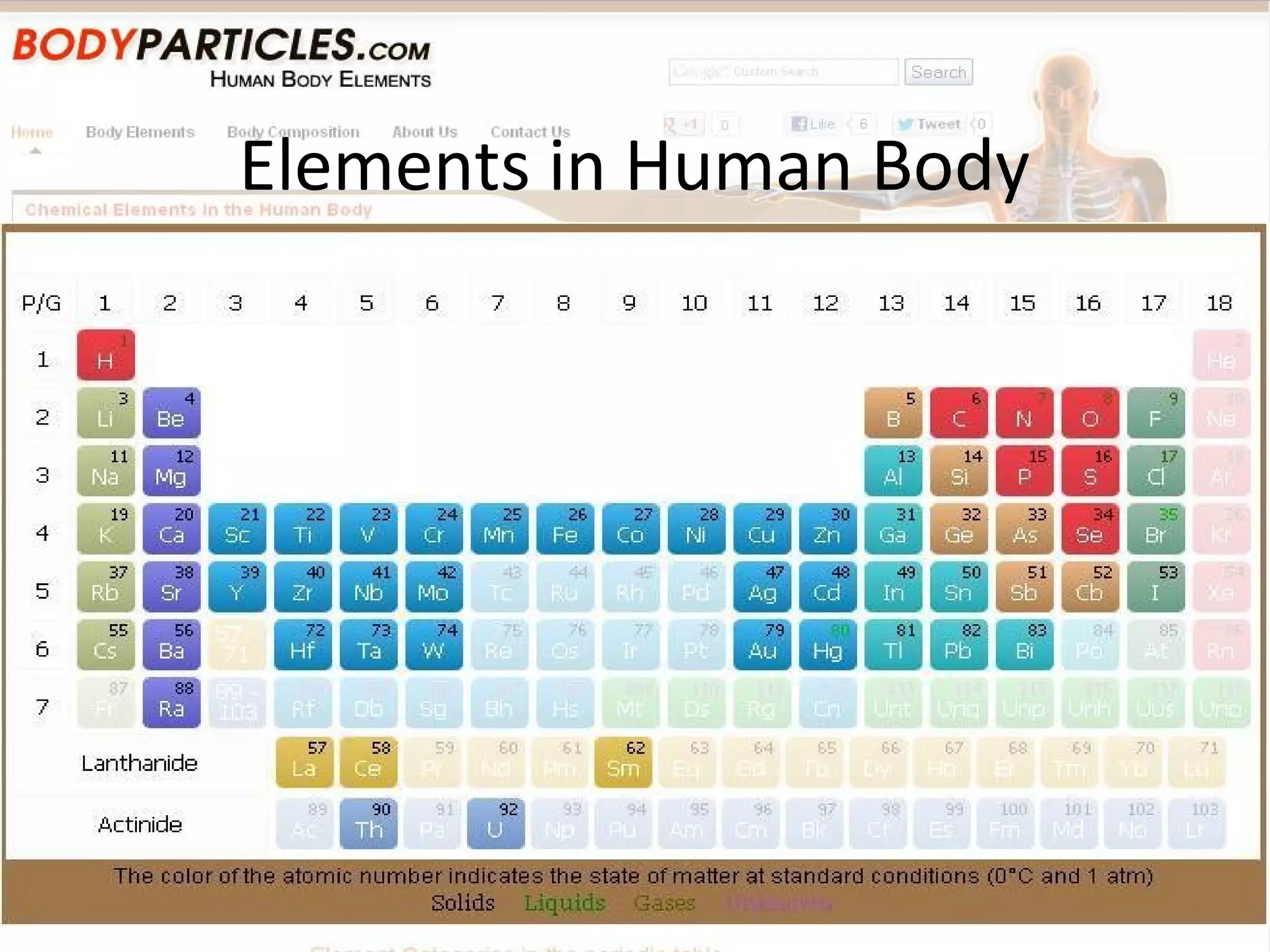 Human Body Elements | PPT