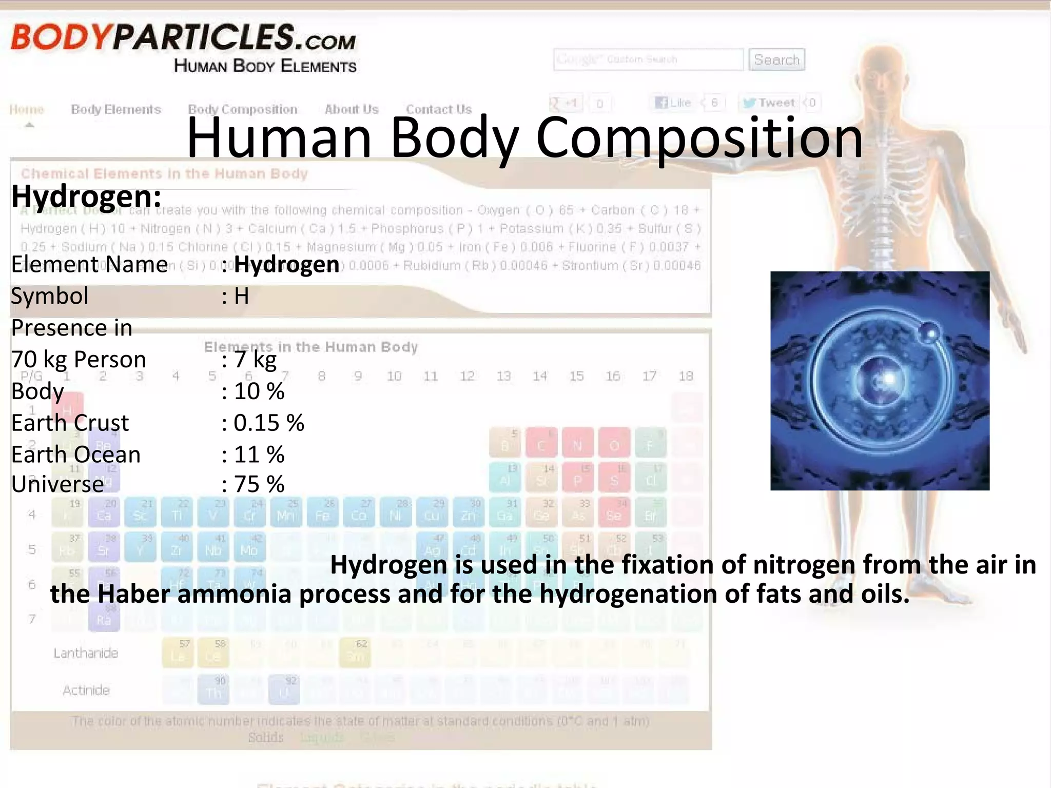 Human Body Elements | PPT
