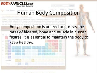 Human Body Elements | PPT